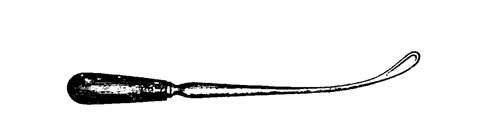 Cucharilla o legra de Sims | Blog de Tomás Cabacas