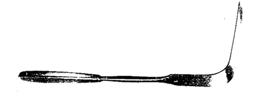 Valva de Simon | Blog de Tomás Cabacas